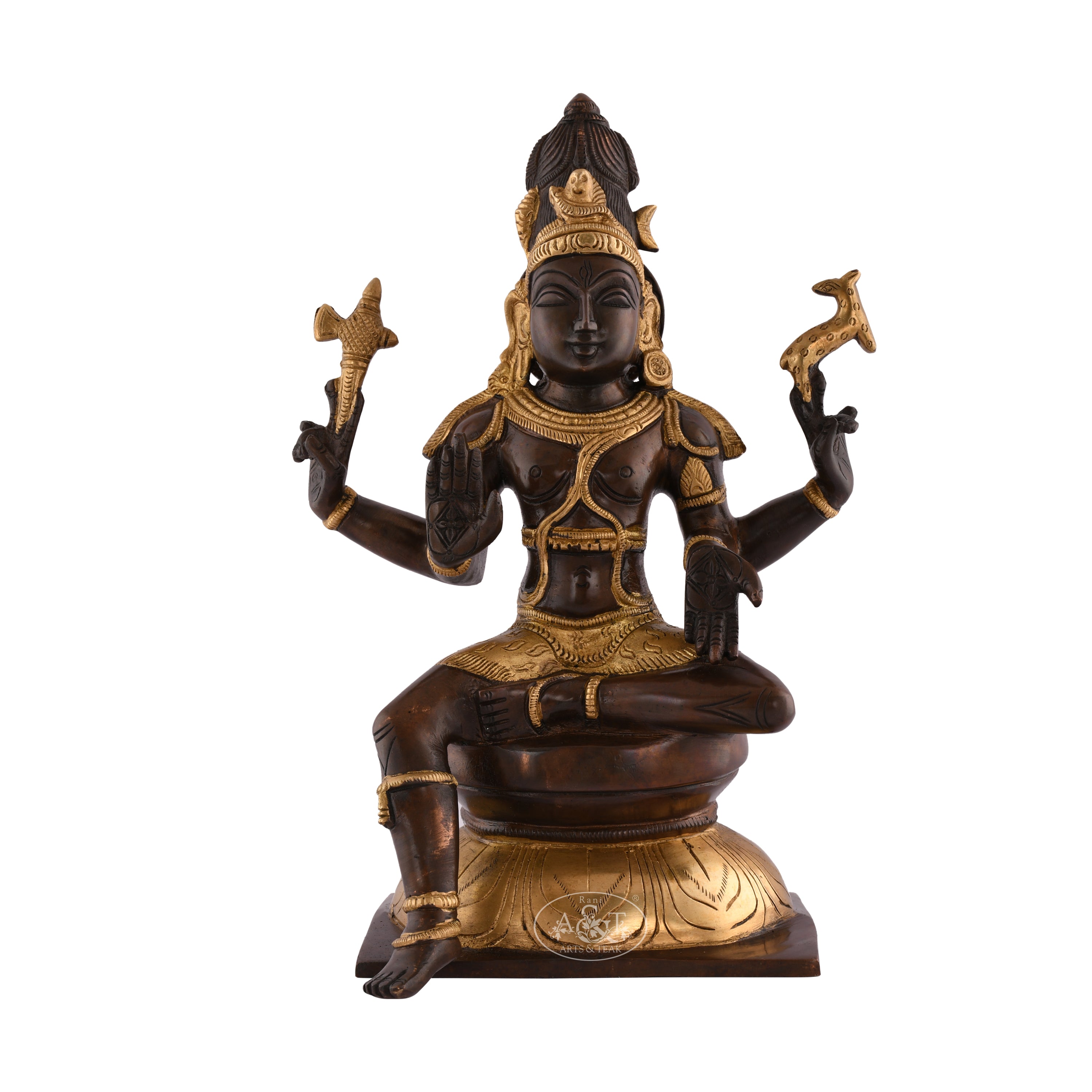 Shiva Statue - Rani Arts & Teak – RANI ARTS & TEAK